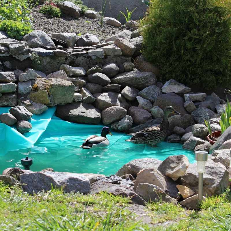 Jak dbać o oczko wodne?-sklepdaglezja.pl